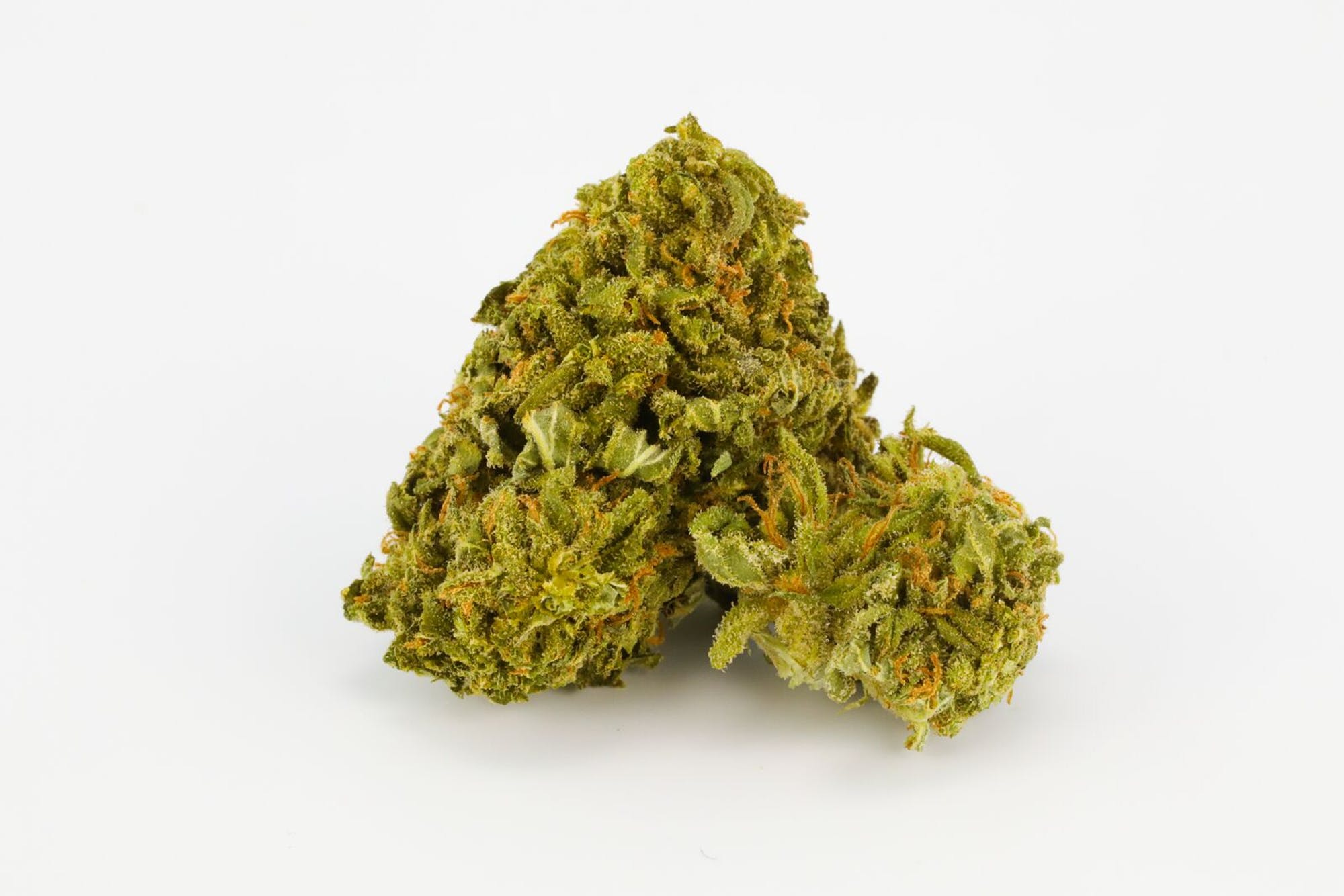 White Papaya AAAA | Hybrid Staff Favorite | Mount Herbal: Cannabis Delivery